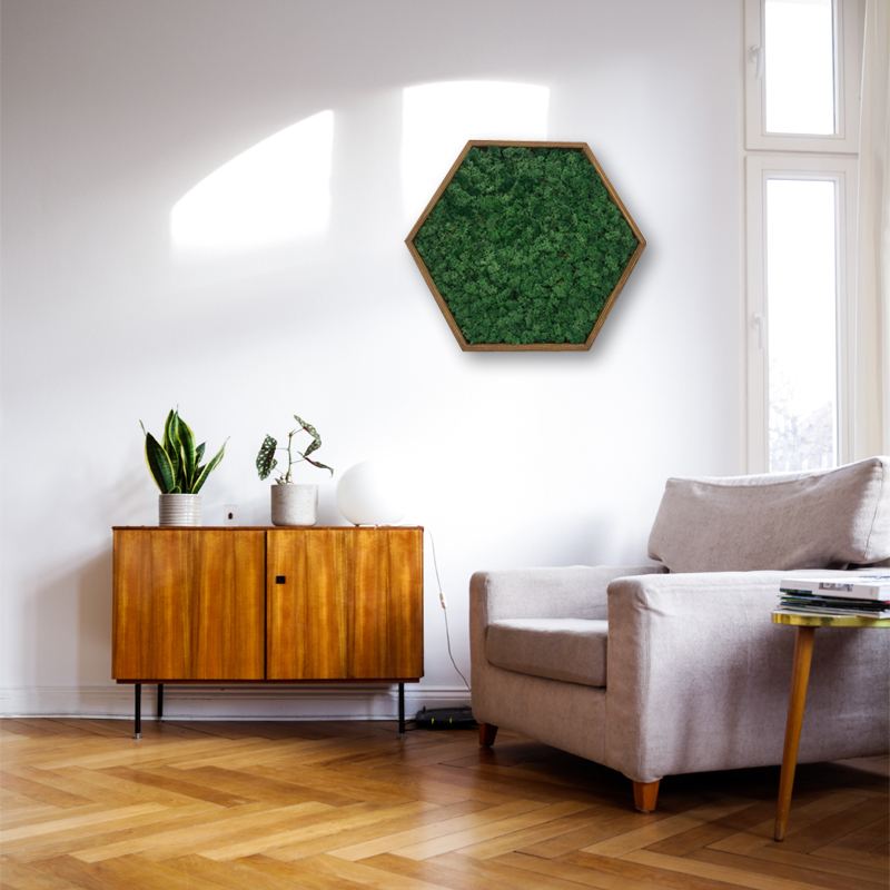 Obrazy z mchu na ścianę - zobacz kolekcję i wybierz coś dla siebie